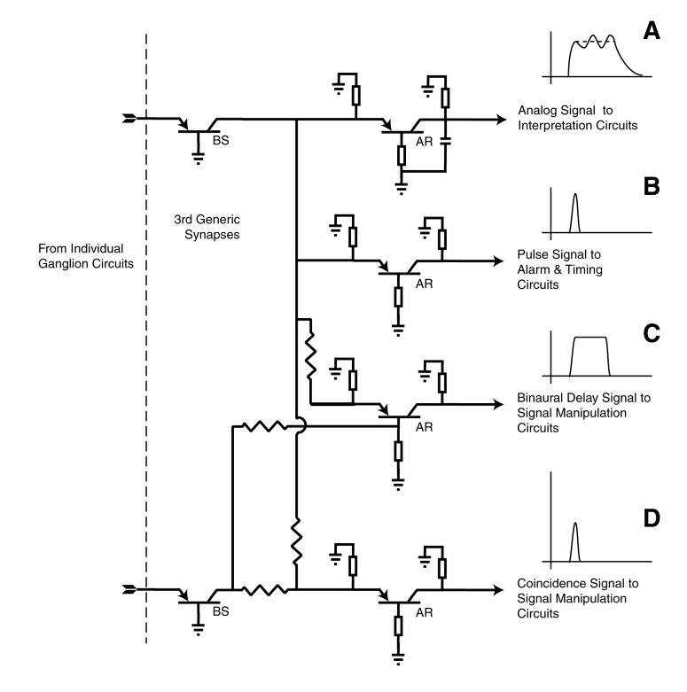 Neural code recovery in Signal Projection